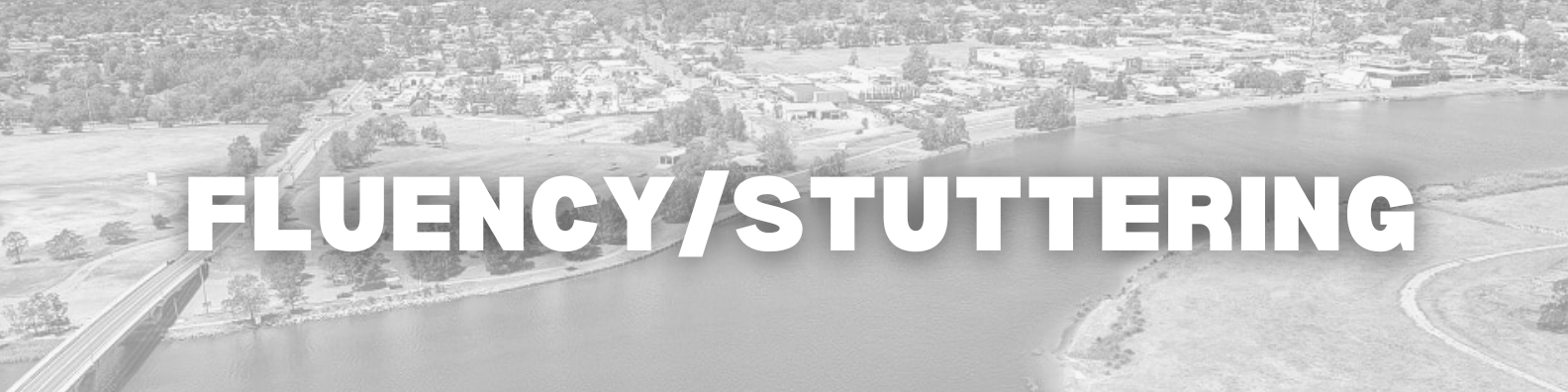 Fluency/Stuttering